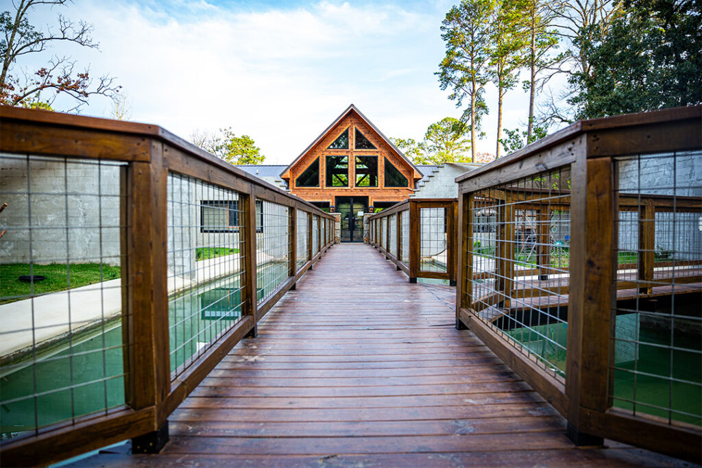 Animal Experiences – Beavers Bend Safari Park