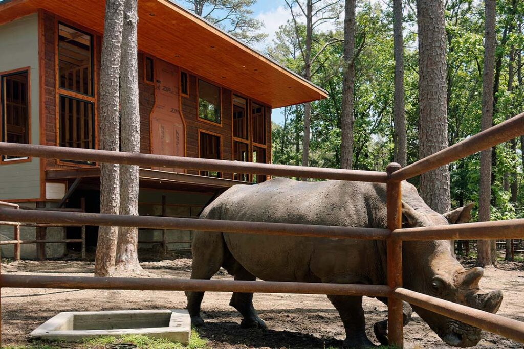 Cabin Rentals – Beavers Bend Safari Park